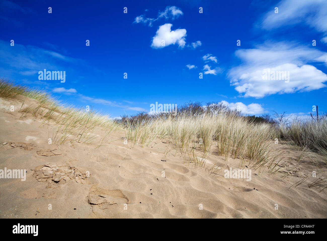 Sand dunes in holland desert hi-res stock photography and images - Alamy