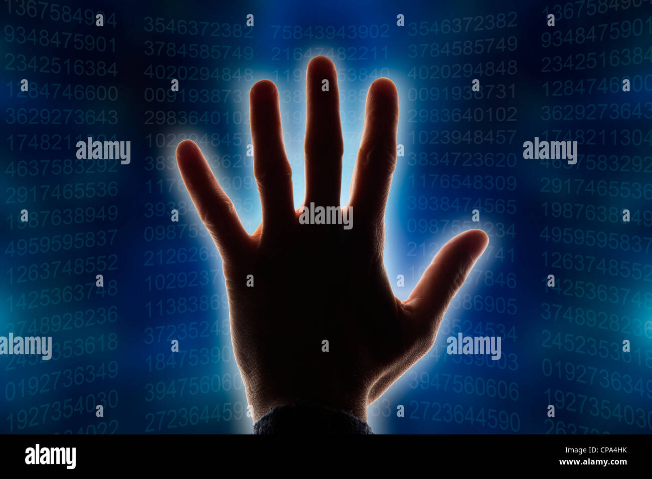 Data palm hi-res stock photography and images - Alamy