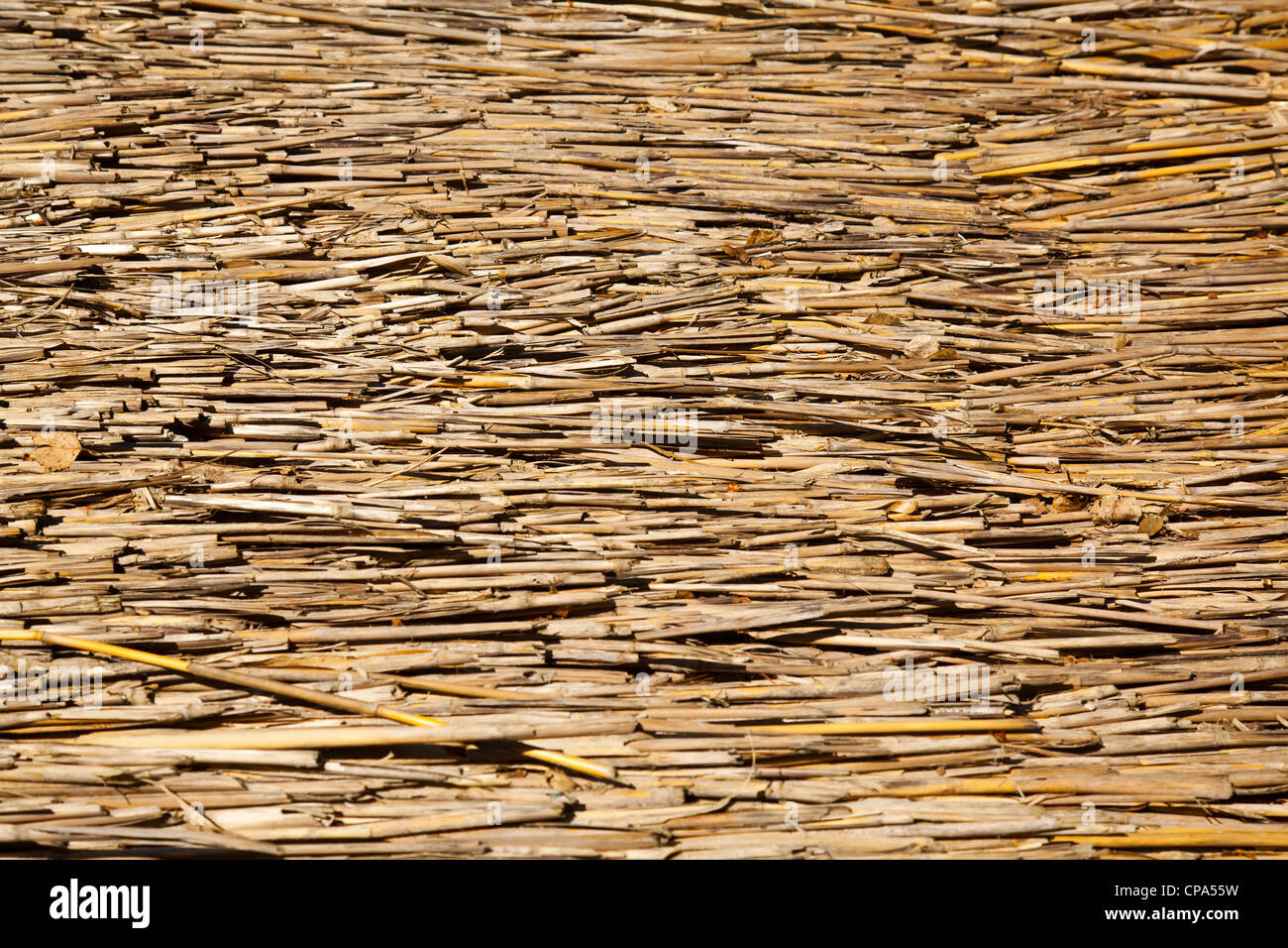 Dried straw horizontal background Stock Photo - Alamy