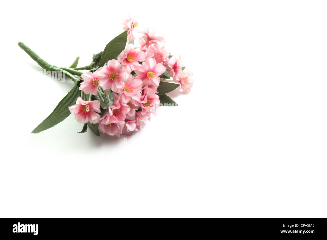 pink artificial flowers on white background Stock Photo - Alamy