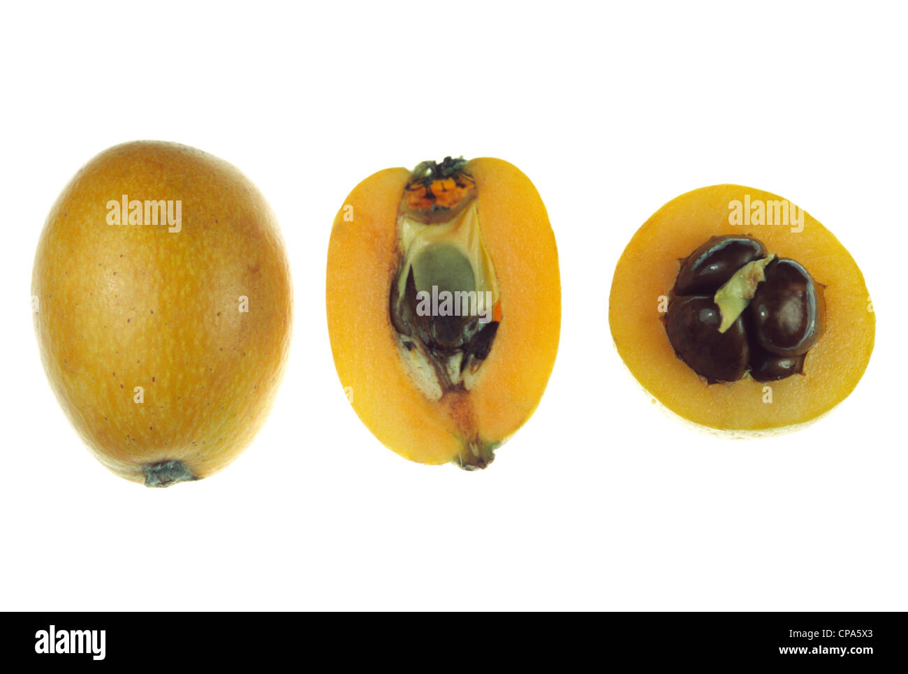 Medlar half hi-res stock photography and images - Alamy