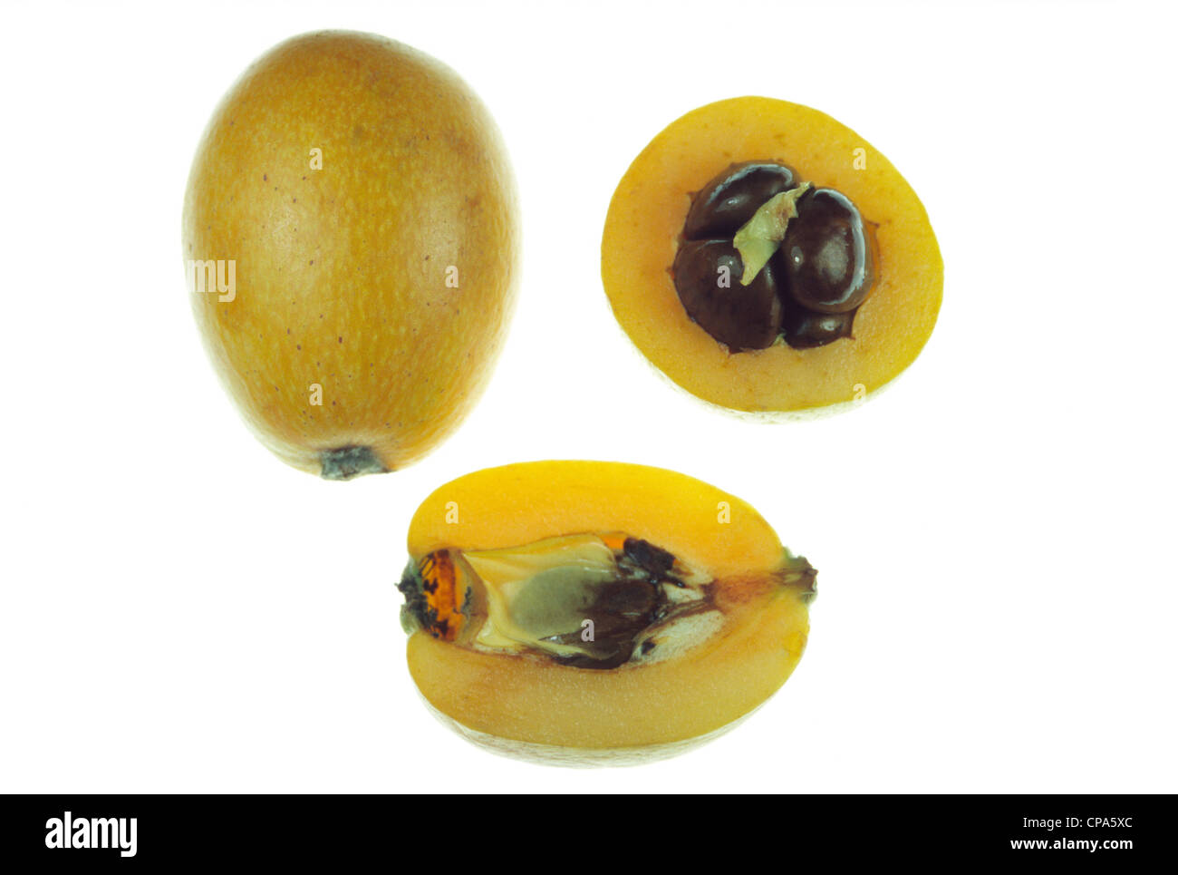 Open medlar hi-res stock photography and images - Alamy