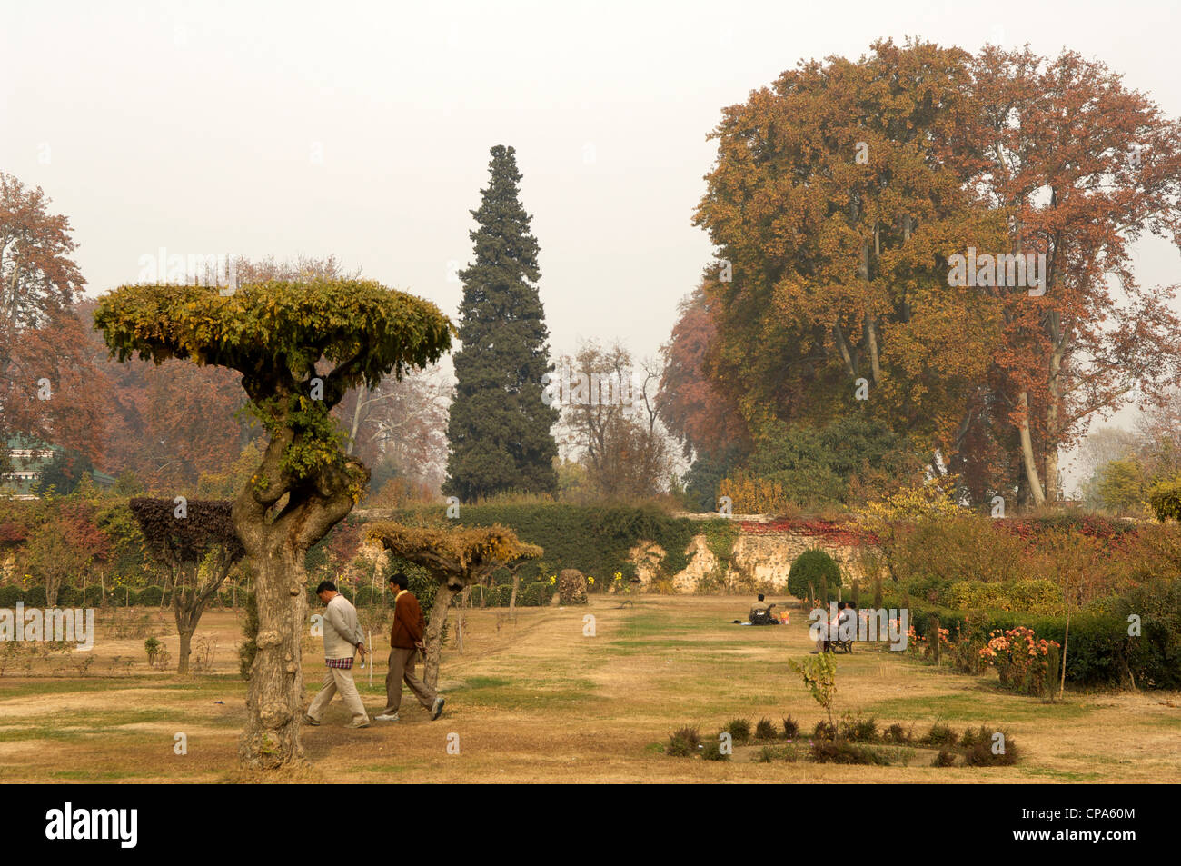 Shalimar Gardens, Dal Lake, Srinagar, Kashmir, India Stock Photo - Alamy