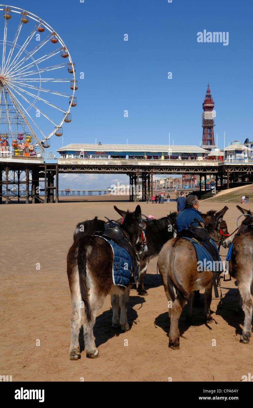 The Central Pier in Blackpool Stock Photo - Alamy