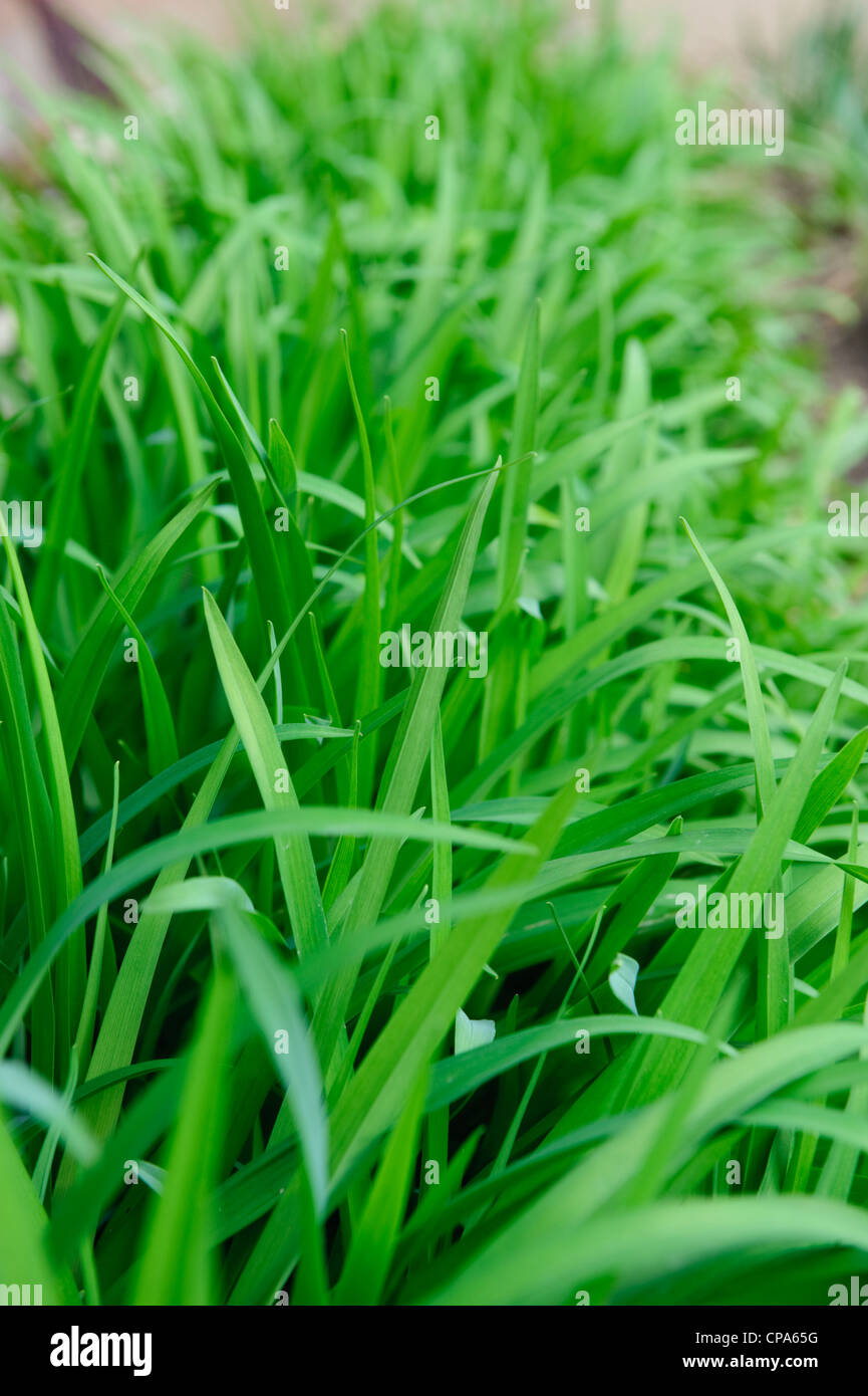 Hign angle view hi-res stock photography and images - Alamy