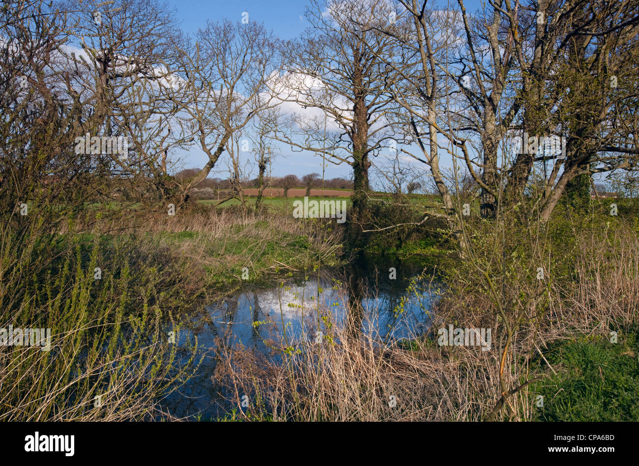 Farm pond in field corner Sidestrand Norfolk Stock Photo - Alamy