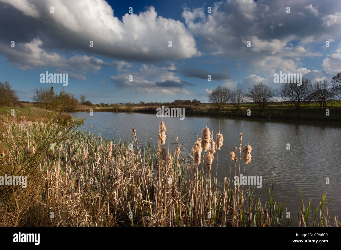Arable field pond hi-res stock photography and images - Alamy