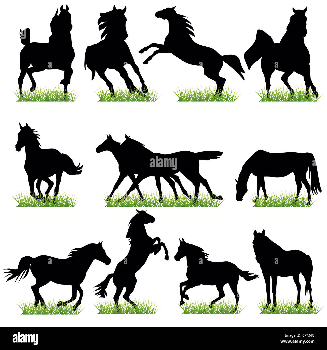 Show horses Cut Out Stock Images & Pictures - Alamy