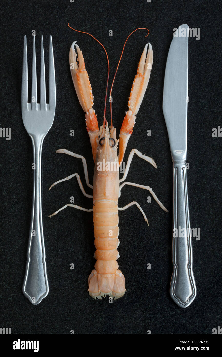 Langoustine with Knife and Fork Stock Photo - Alamy