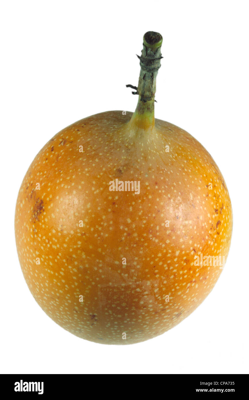 Esotic Fruit, Passion Fruit, Grenadilla, Passiflora ligularis, Isolated ...