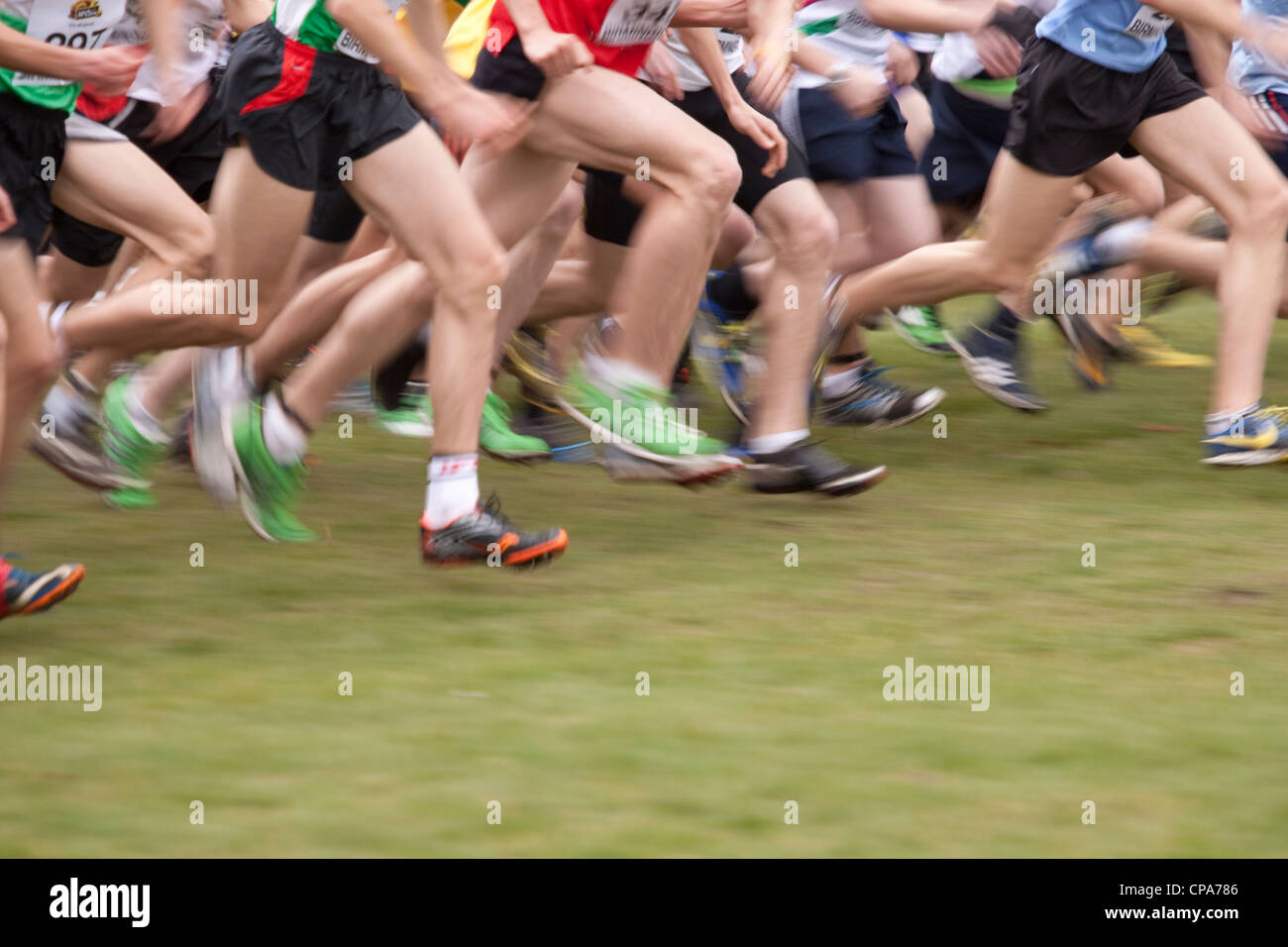 English schools cross country championships hi-res stock photography ...