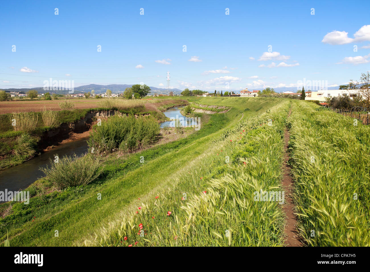 Along the Bisenzio river Stock Photo - Alamy