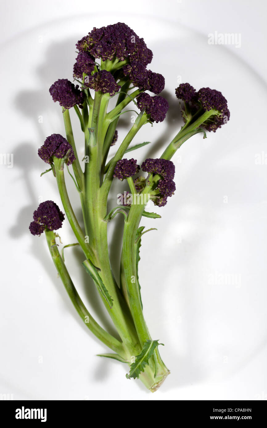 Purple sprouting broccoli hi-res stock photography and images - Alamy