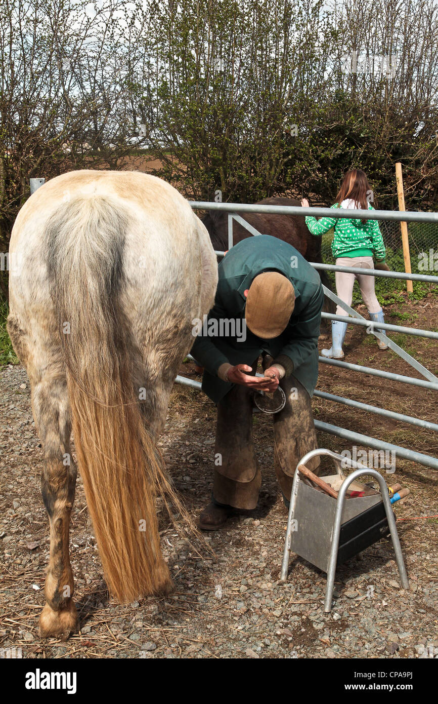 Farriers Stock Photos & Farriers Stock Images - Alamy