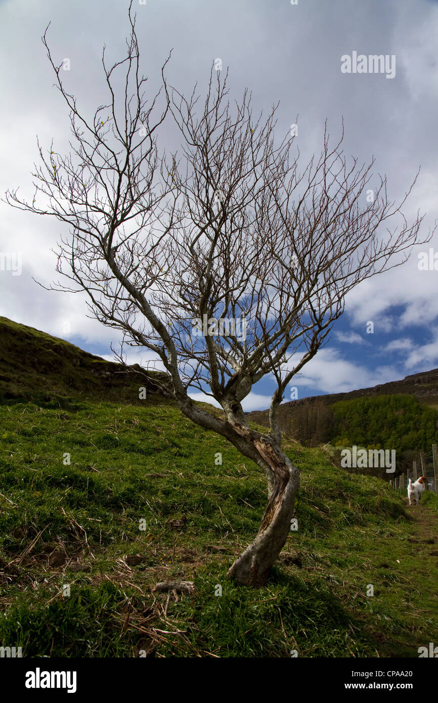 Twisted clouds hi-res stock photography and images - Alamy