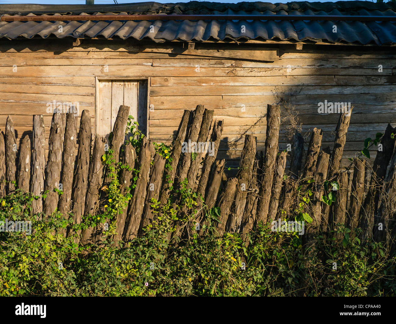 Fence Made Of Branches High Resolution Stock Photography and Images - Alamy