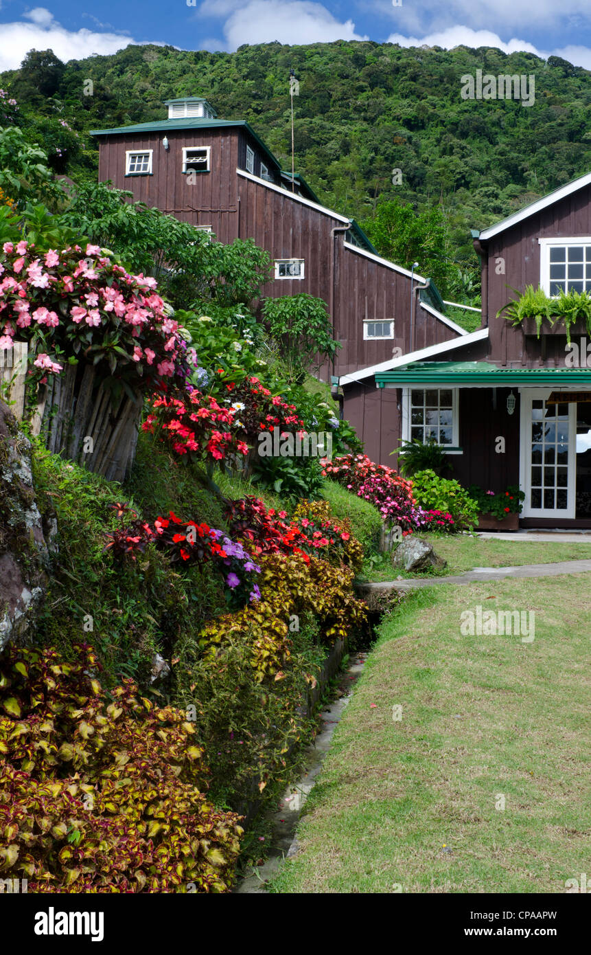 Finca Lerida Coffee Estate Stock Photo - Alamy