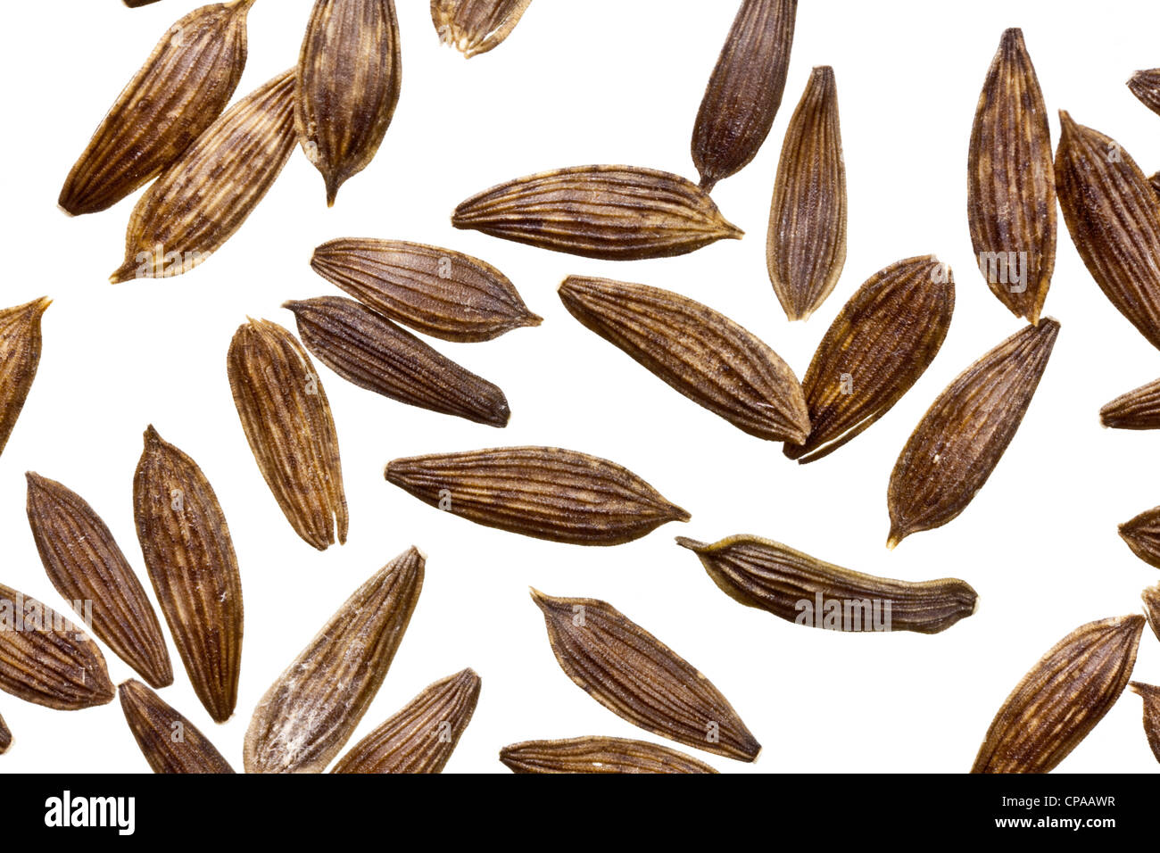 Lettuce seeds hi-res stock photography and images - Alamy