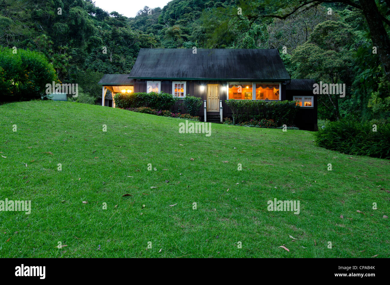 Finca Lerida Coffee Estate Stock Photo - Alamy
