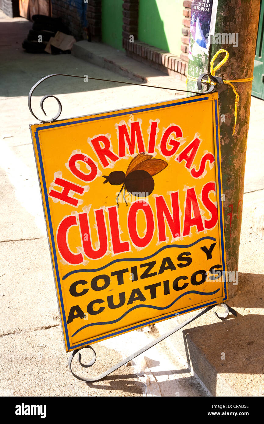 Hormigas Culonas meaning big bottom ants that have been fried ...
