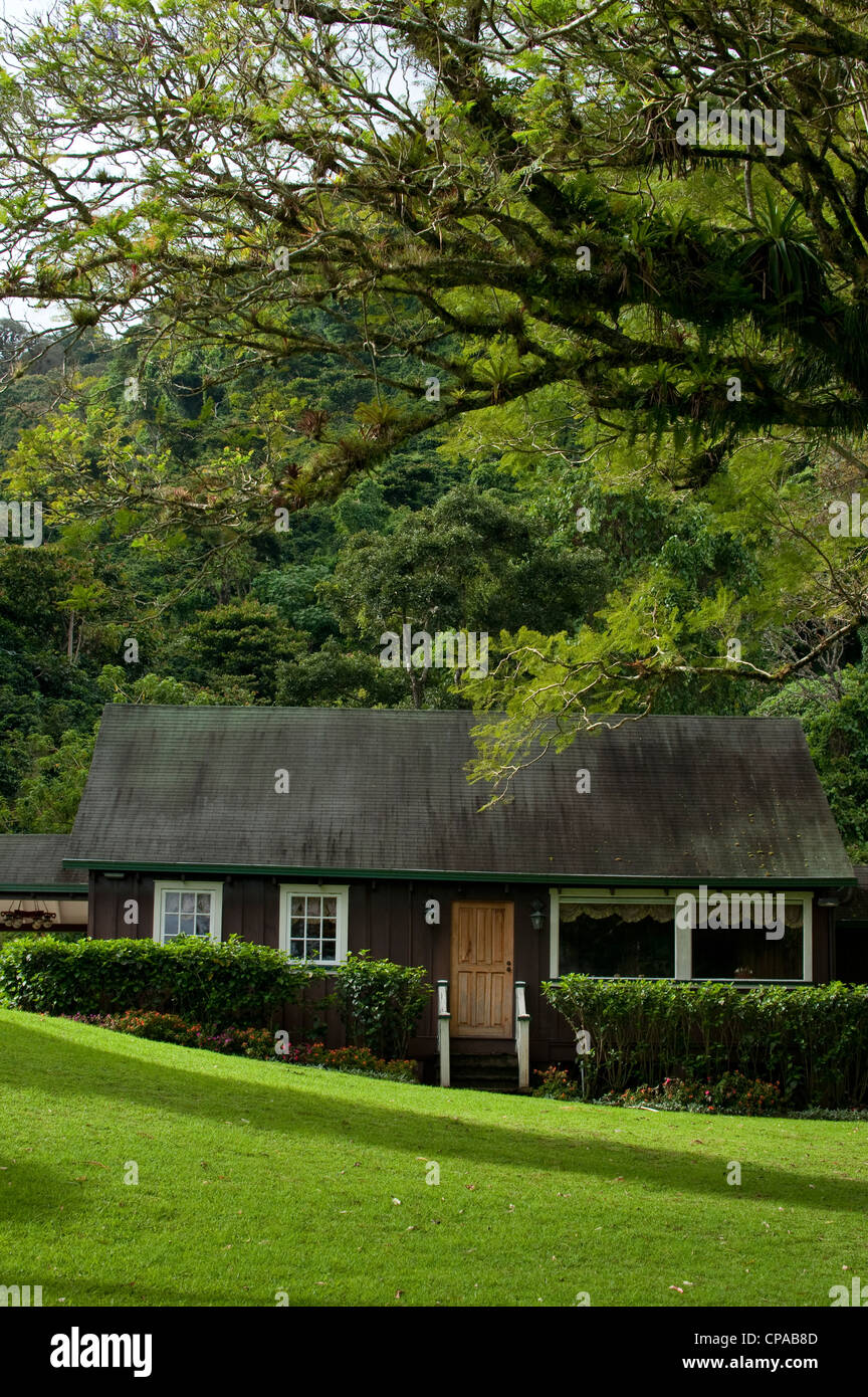 Finca Lerida Coffee Estate Stock Photo - Alamy