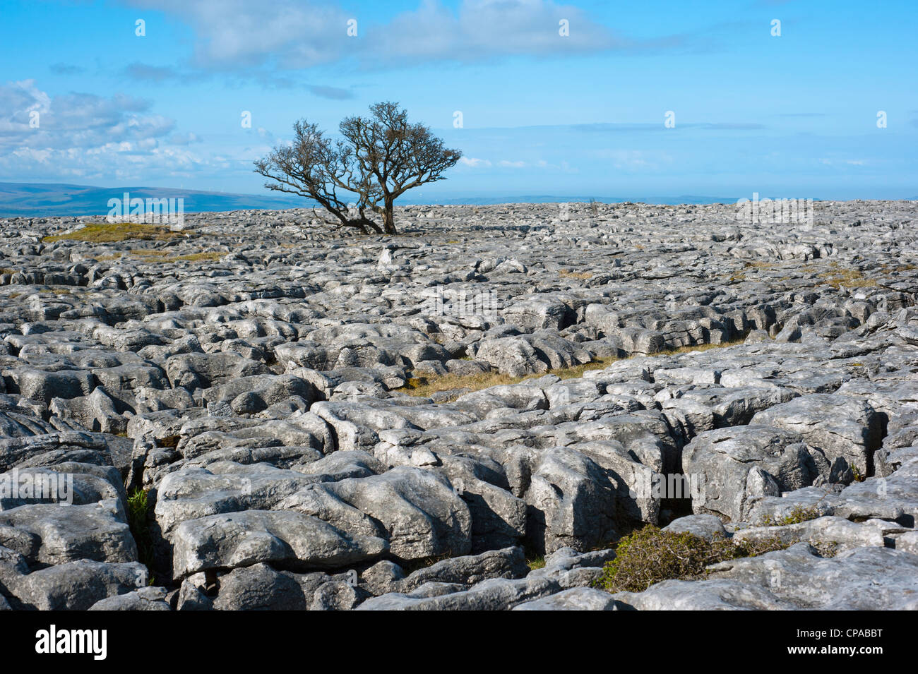 Limestone pavement. White Scars. Ingleton, Yorkshire Dales National ...