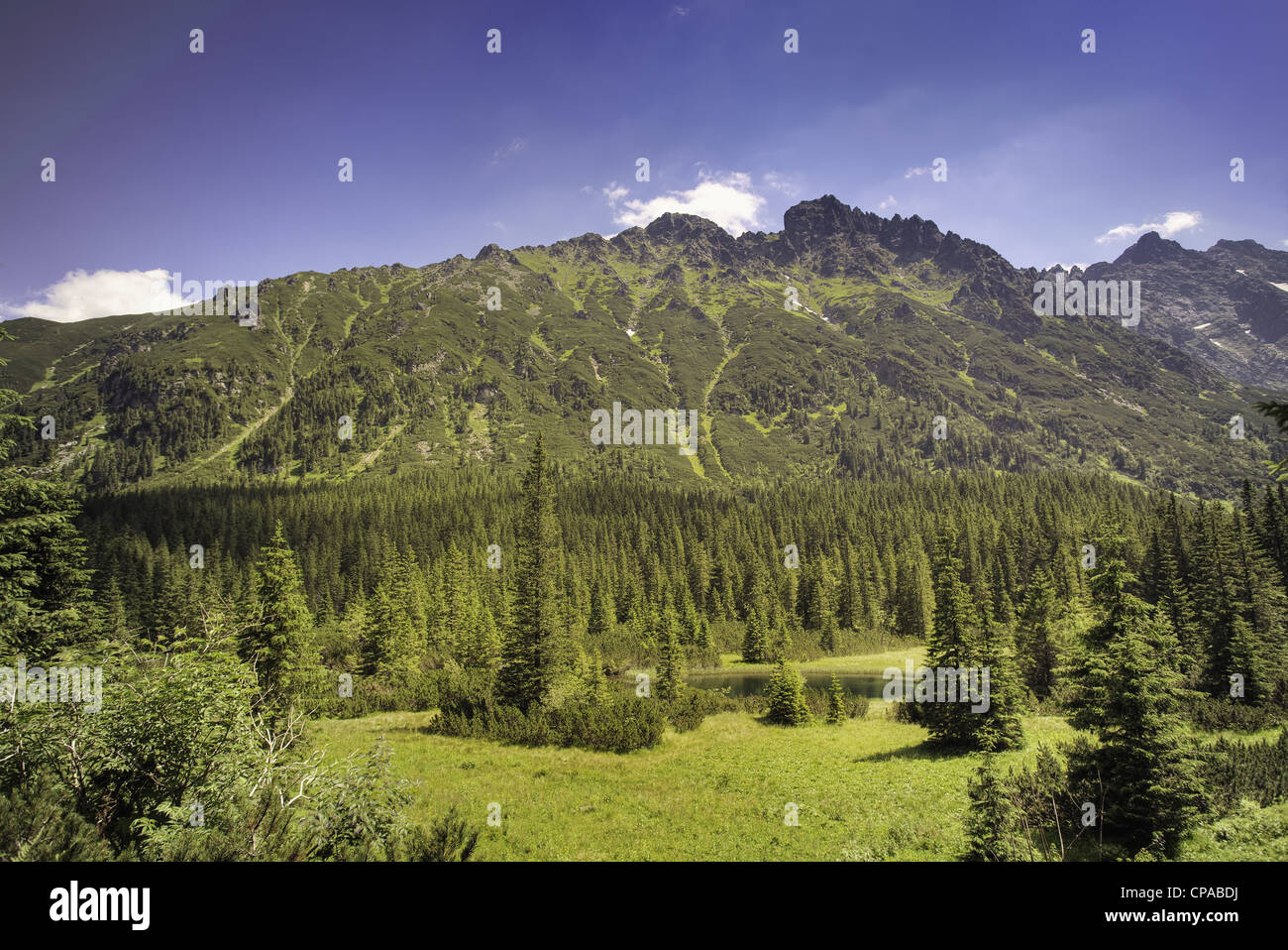 Polish Tatra mountains near Zakopane Stock Photo - Alamy