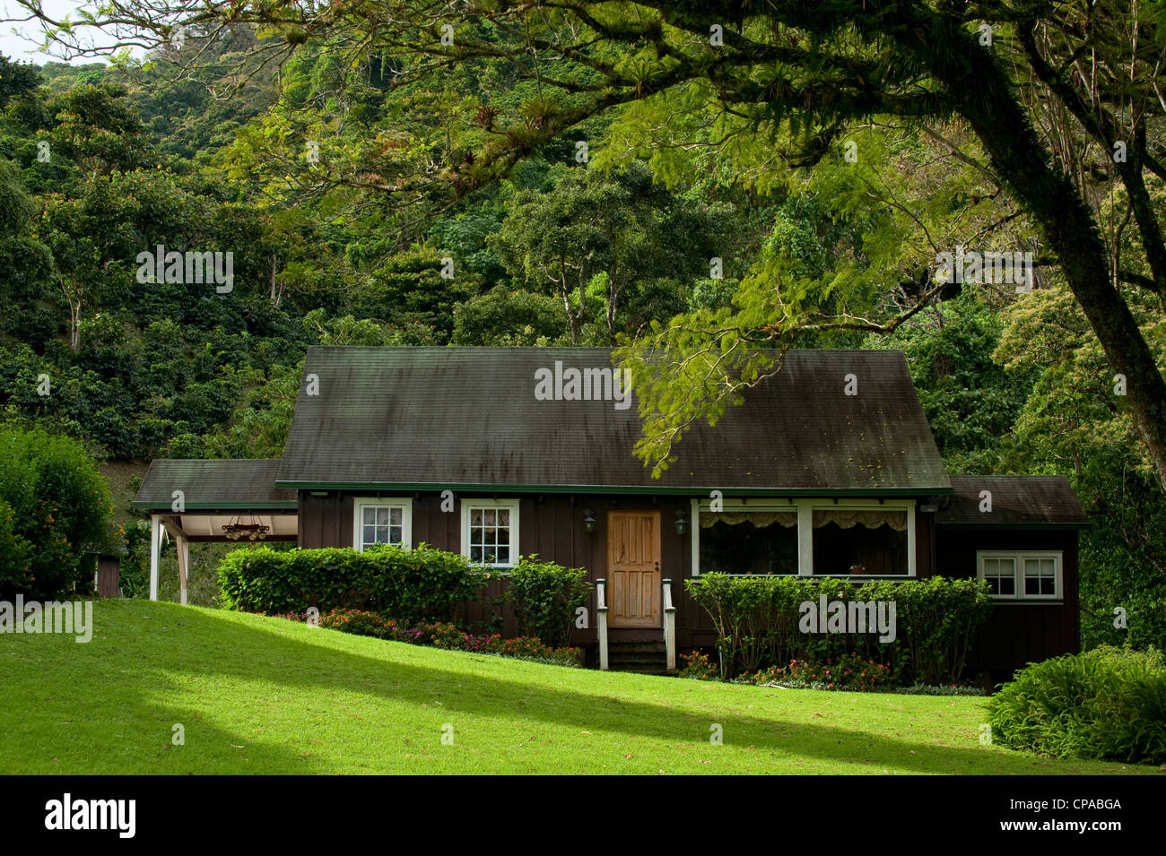Finca Lerida Coffee Estate Stock Photo - Alamy