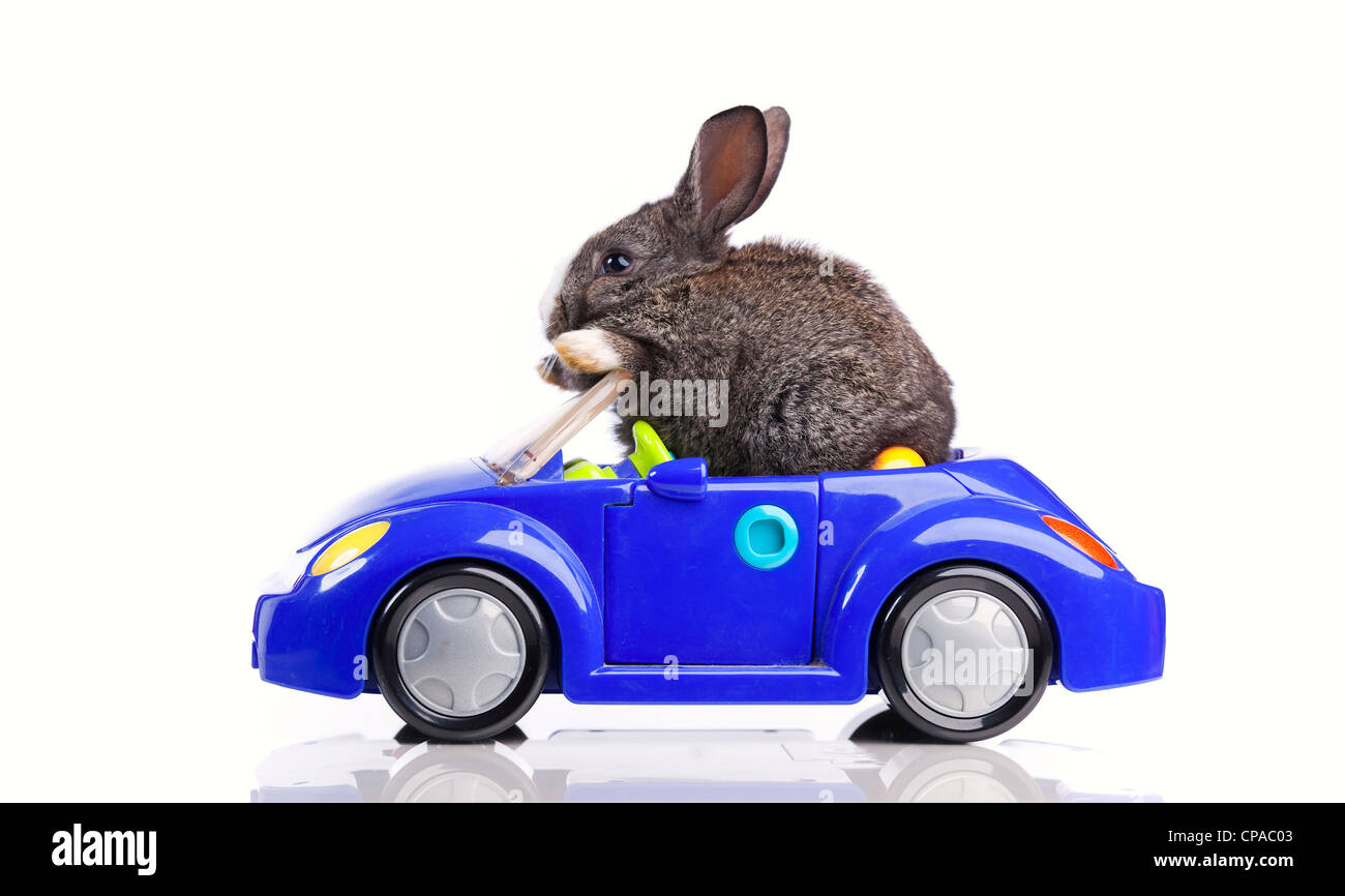 Blue toy car hi-res stock photography and images - Alamy