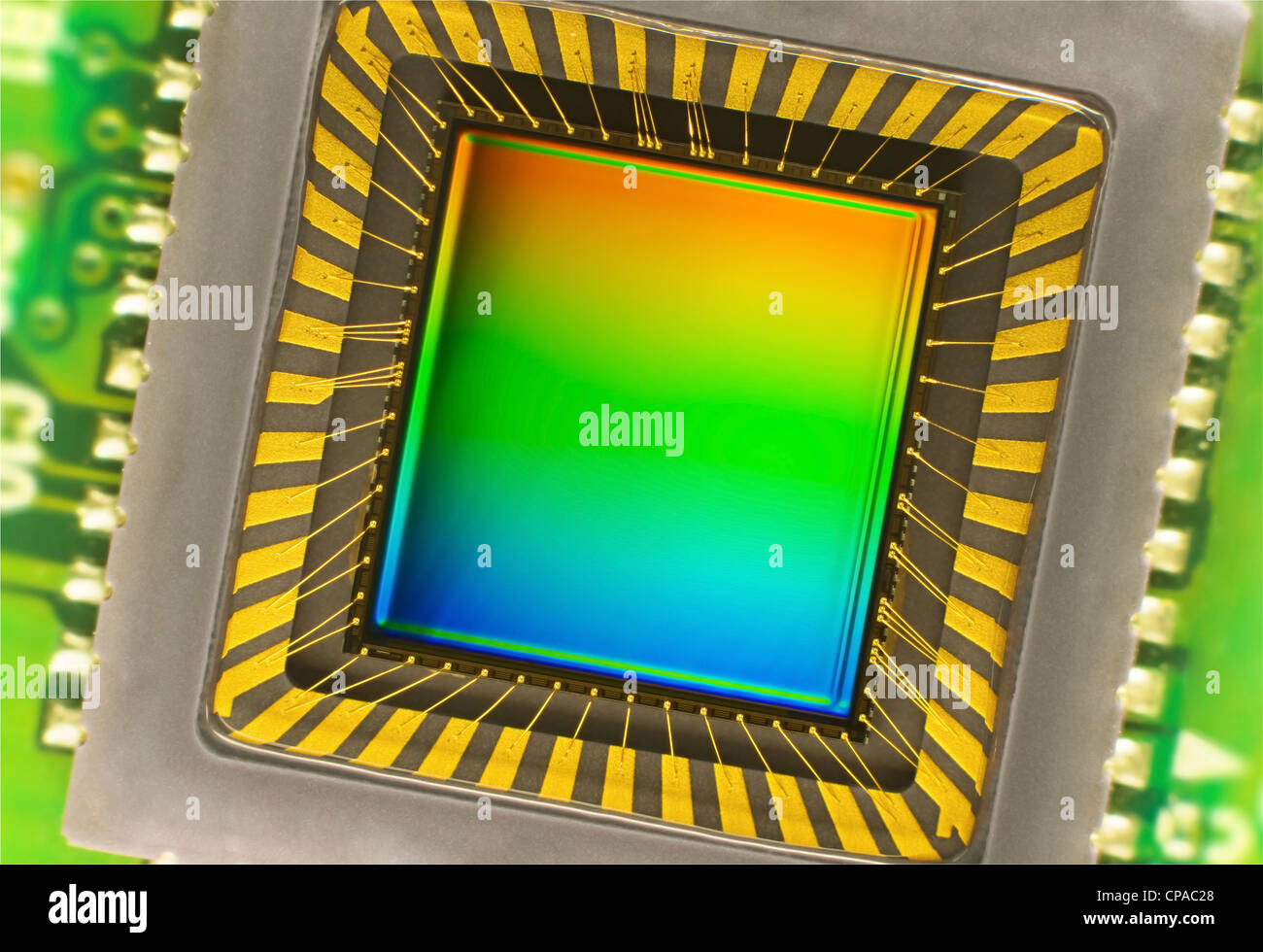 light sensor on a card of digital camera with colored interference ...