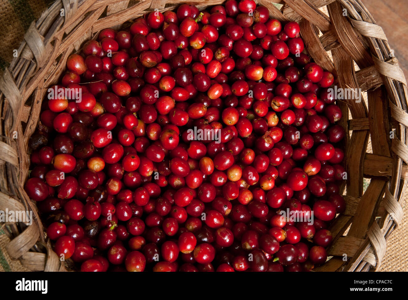 Red Coffee beans Stock Photo - Alamy