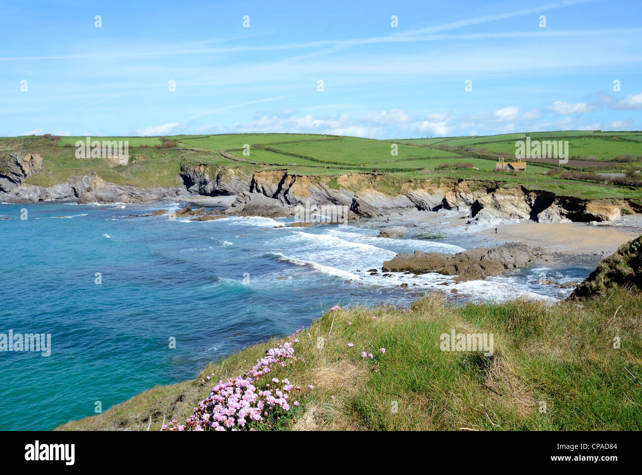 Dollar Cove at Gunwalloe in Cornwall, England, UK Stock Photo - Alamy