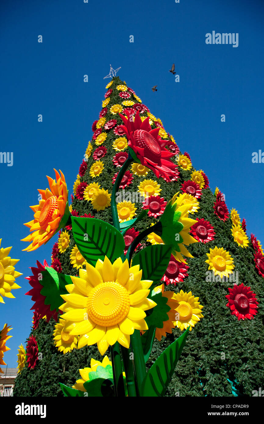Sunflower Christmas tree Stock Photo - Alamy