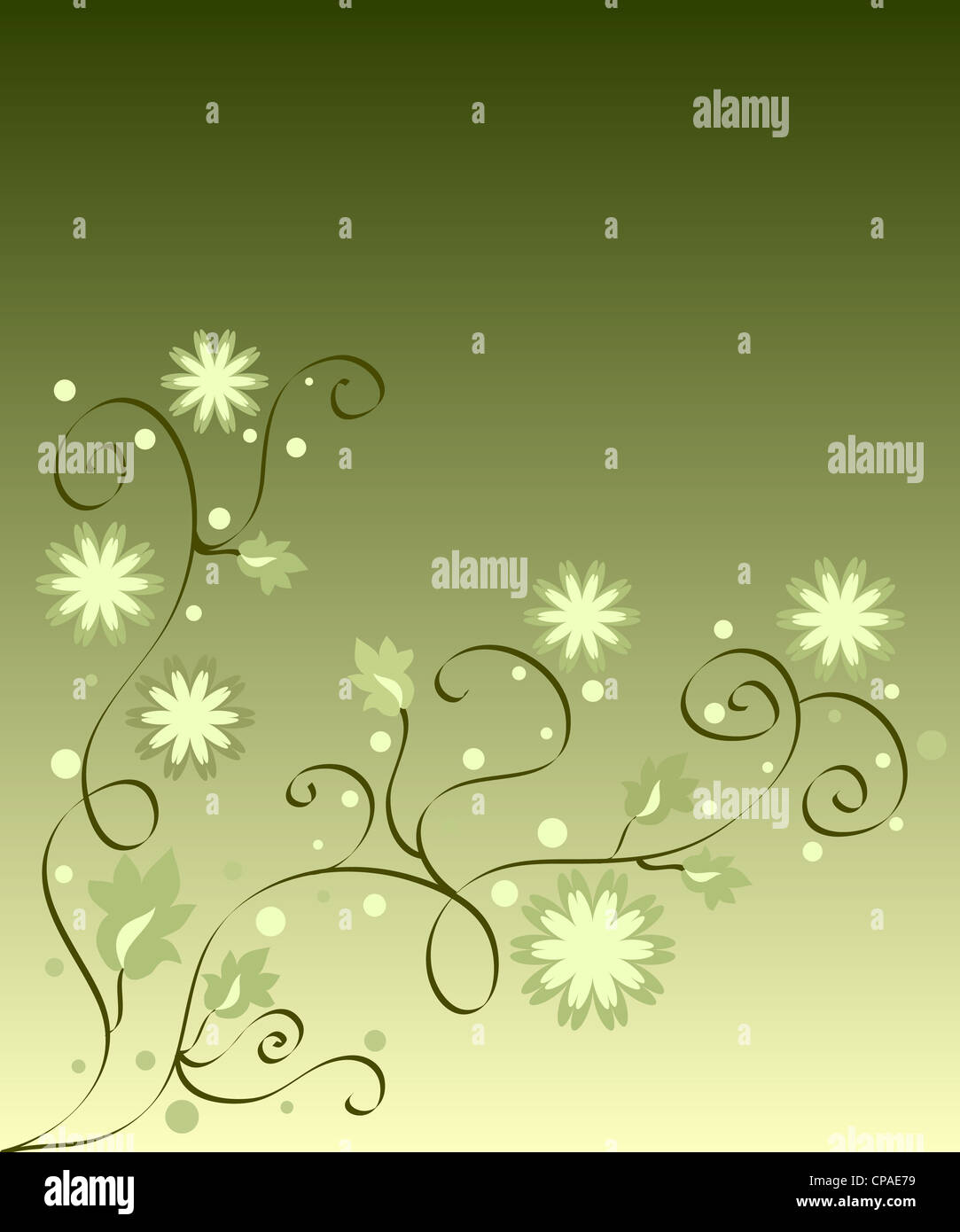 Floral and leaves design on gradient green Stock Photo - Alamy