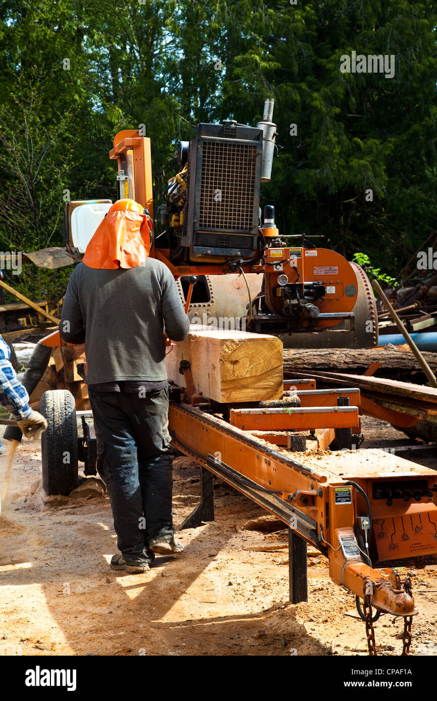 Saw mill cutting hi-res stock photography and images - Alamy