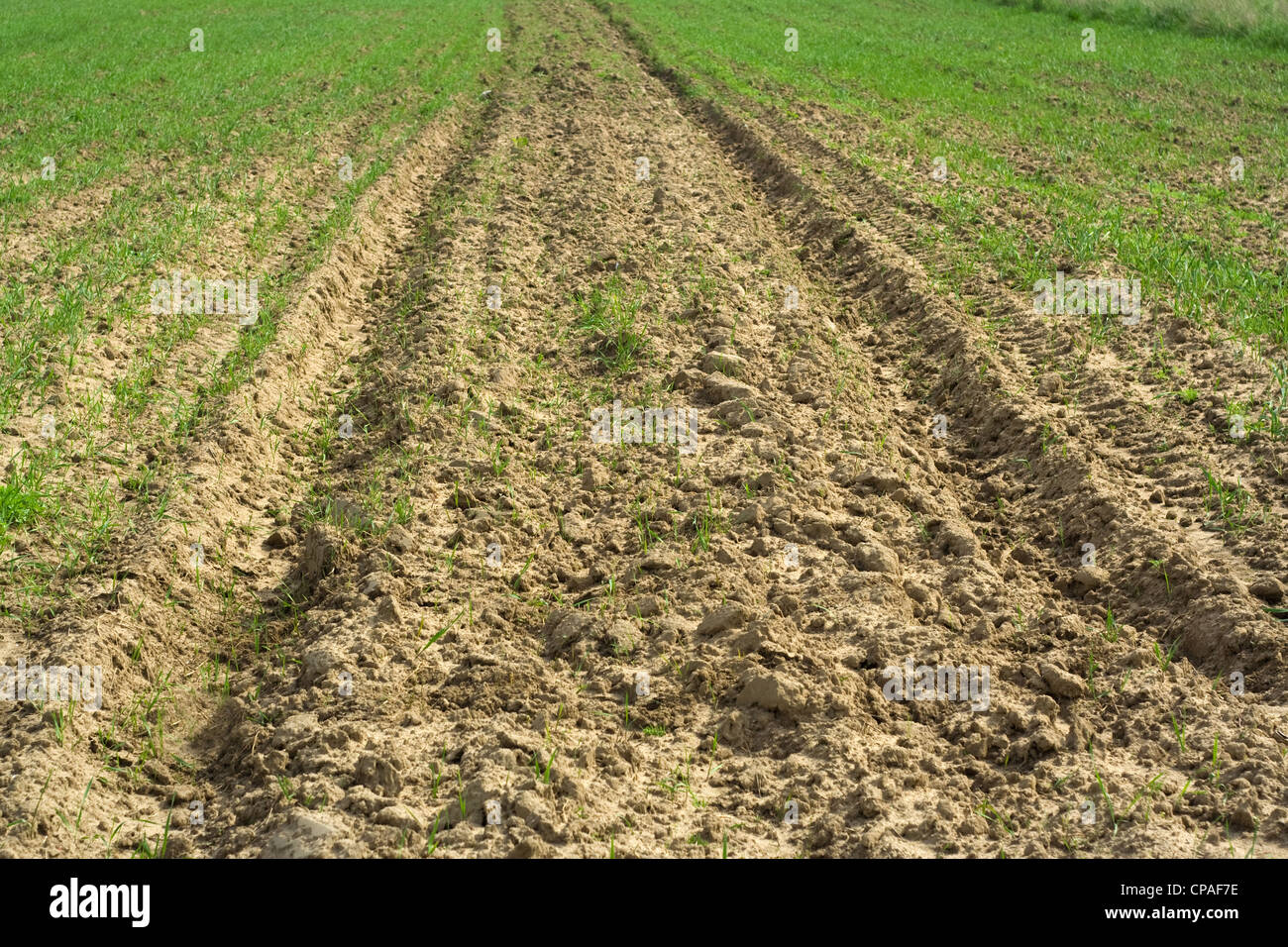 Ploughed farm land hi-res stock photography and images - Alamy