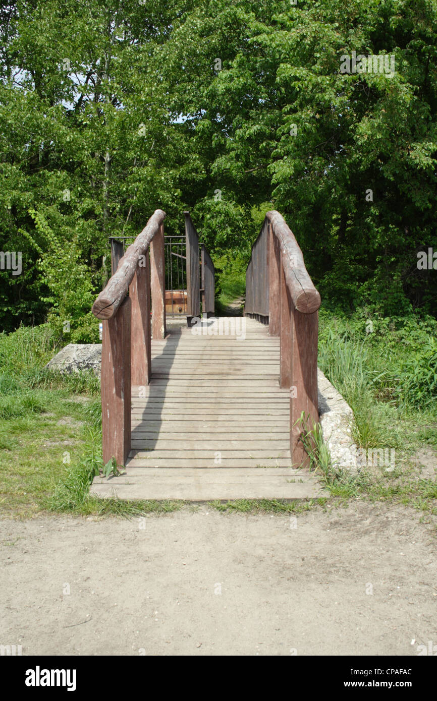small wooden bridge in forest, colored photo Stock Photo - Alamy