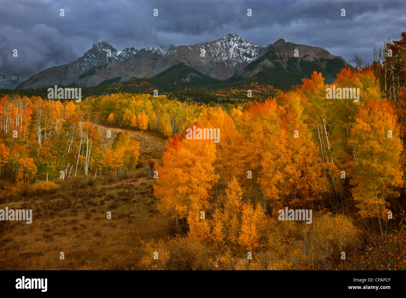 Foretell weather hi-res stock photography and images - Alamy