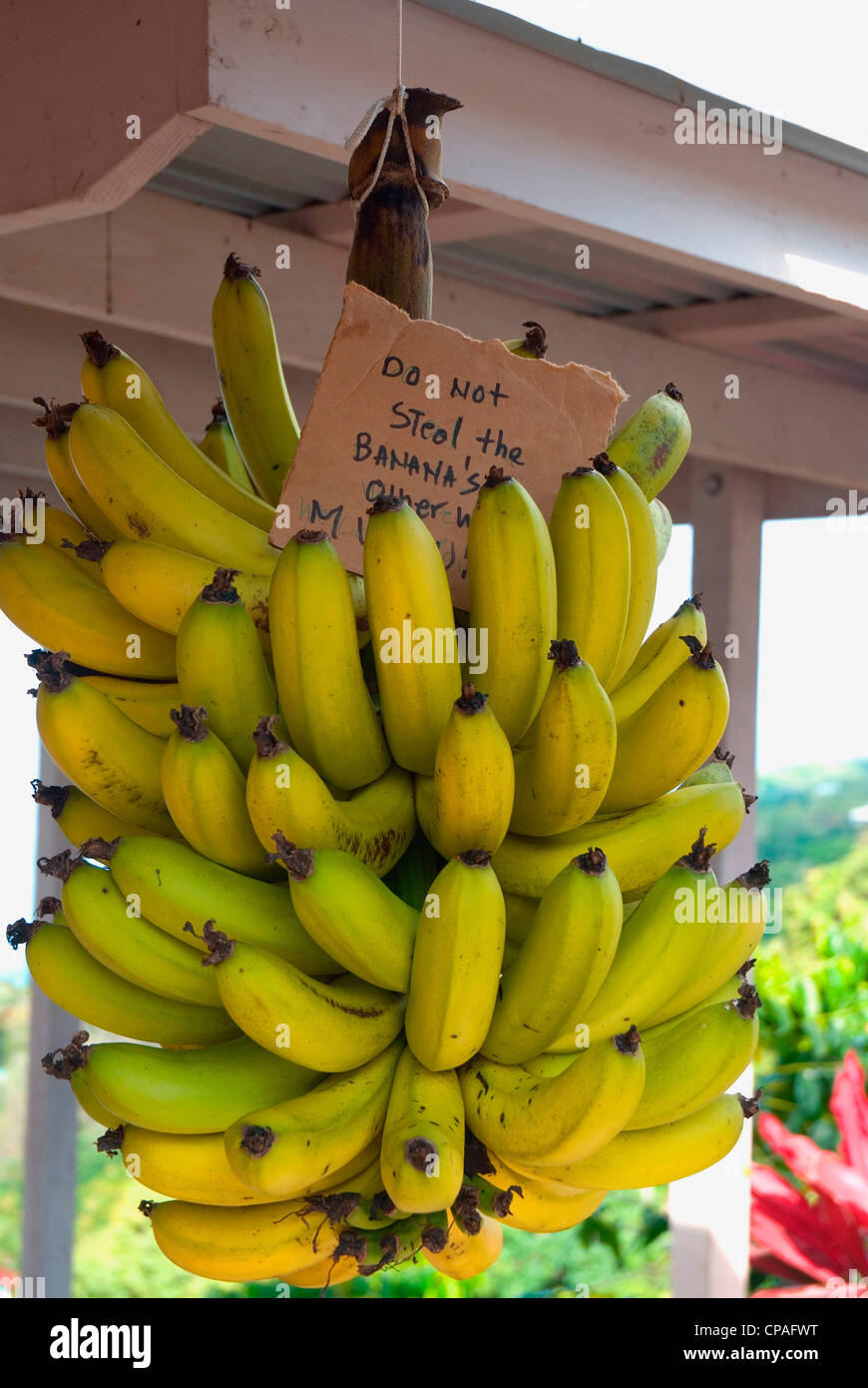 Kona Coffee Captain Cook Hawaii at Jackson Mcpherson blog