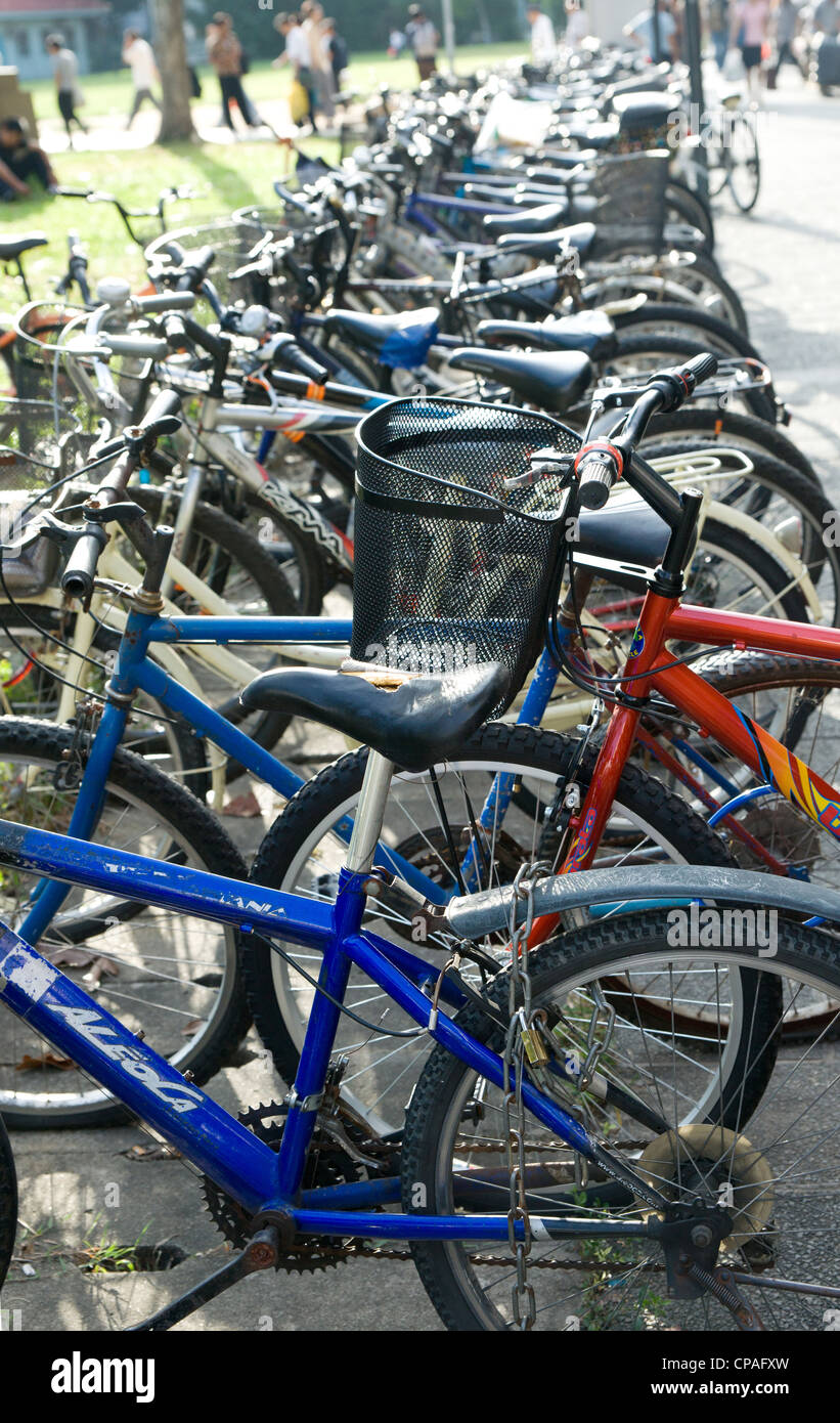 bicycles in a row Stock Photo - Alamy