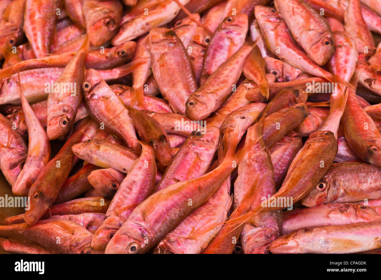Split fish hi-res stock photography and images - Alamy