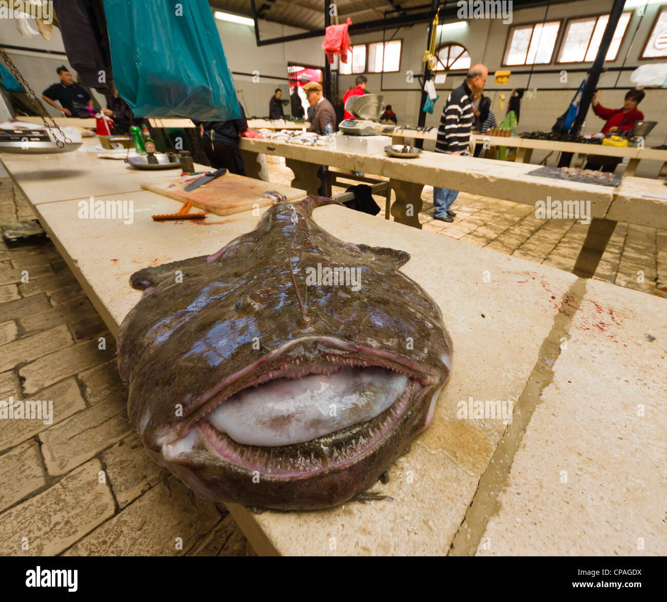 Split tongue hi-res stock photography and images - Alamy