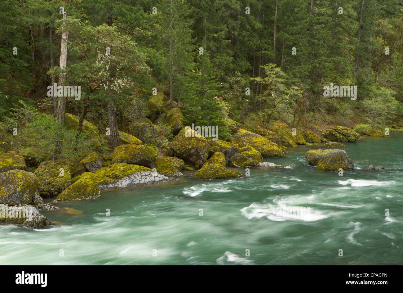 The Umpqua river, Oregon Stock Photo - Alamy