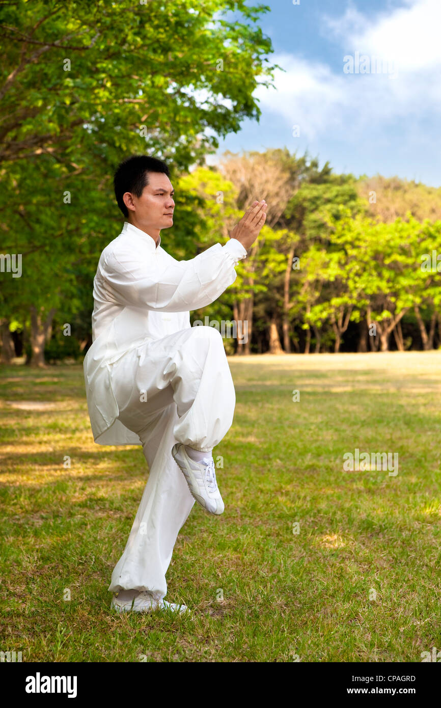 Kung fu pose hi-res stock photography and images - Alamy