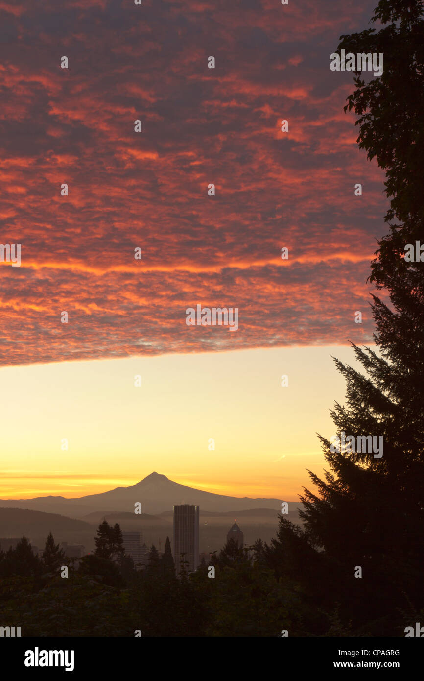 Portland skyline silhouette hi-res stock photography and images - Alamy
