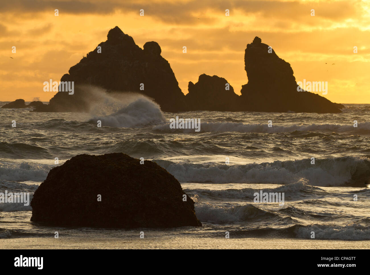 Sea stacks on the beach at Bandon, Oregon Stock Photo - Alamy