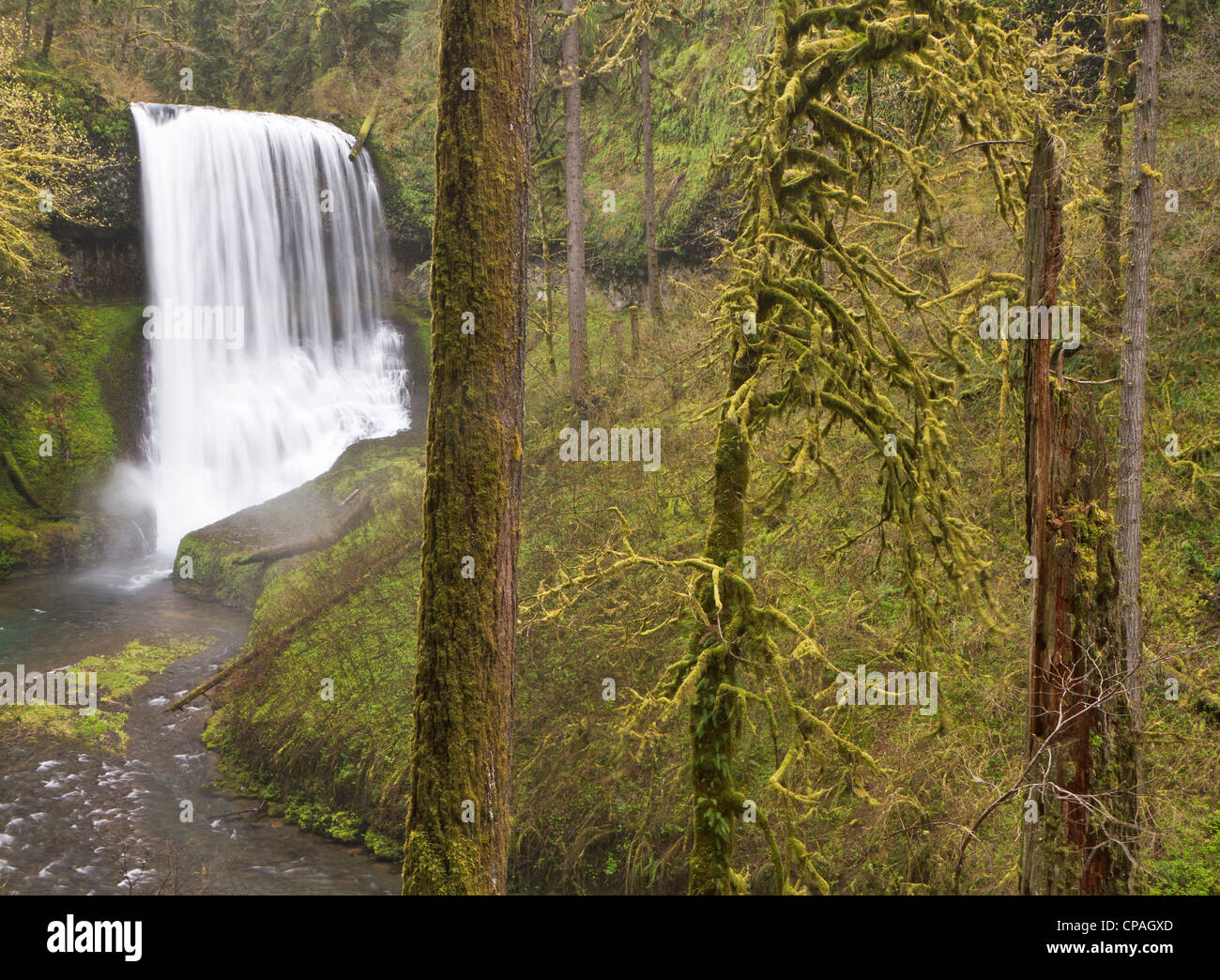 Middle Falls, Silver Falls State Park, Oregon Stock Photo - Alamy