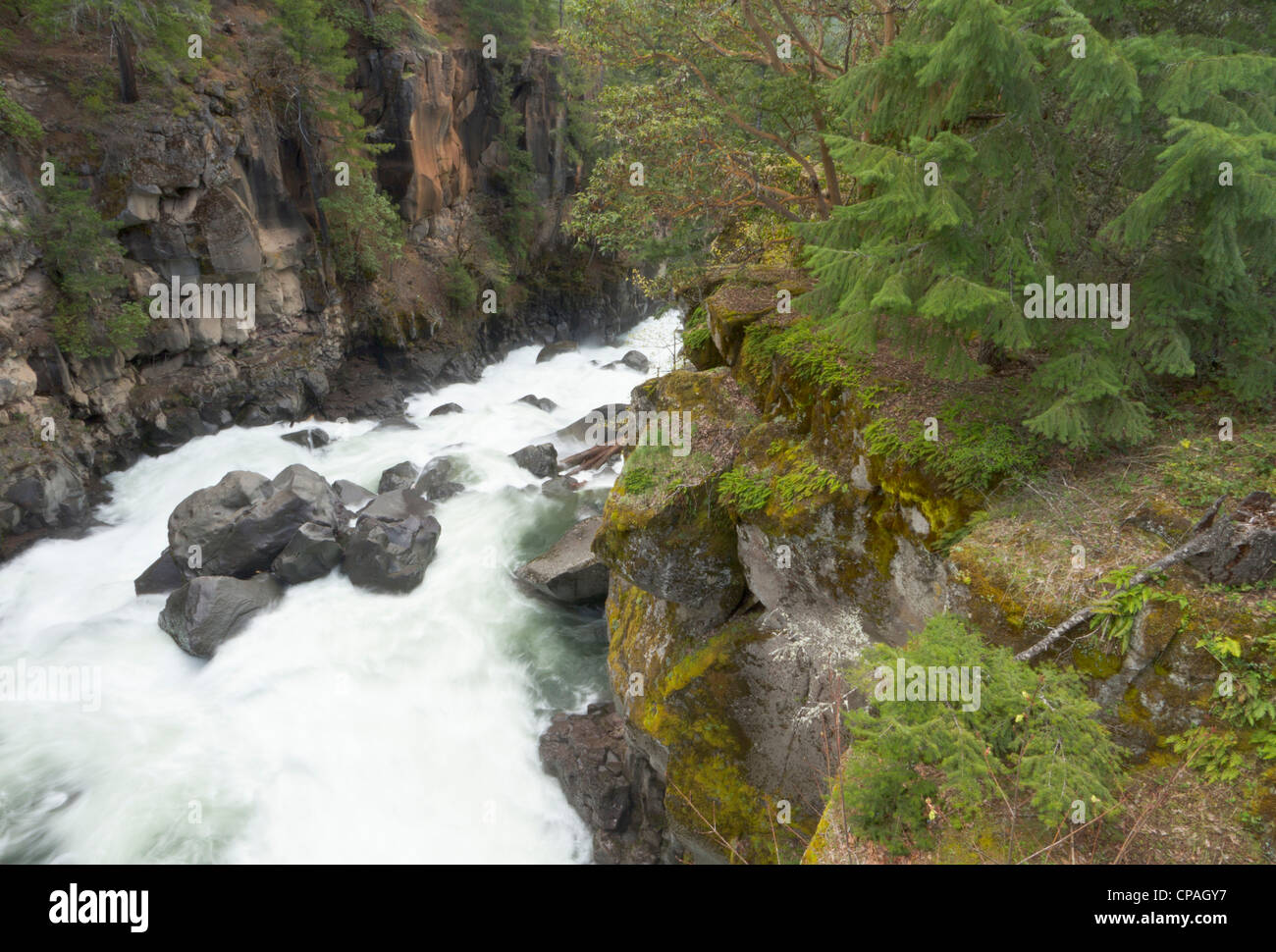 The upper Rogue river flows through a gorge, Oregon Stock Photo - Alamy