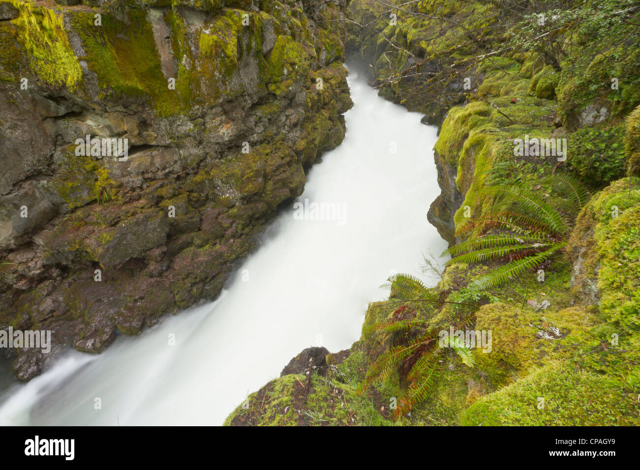 The upper Rogue river flows through a gorge, Oregon Stock Photo - Alamy
