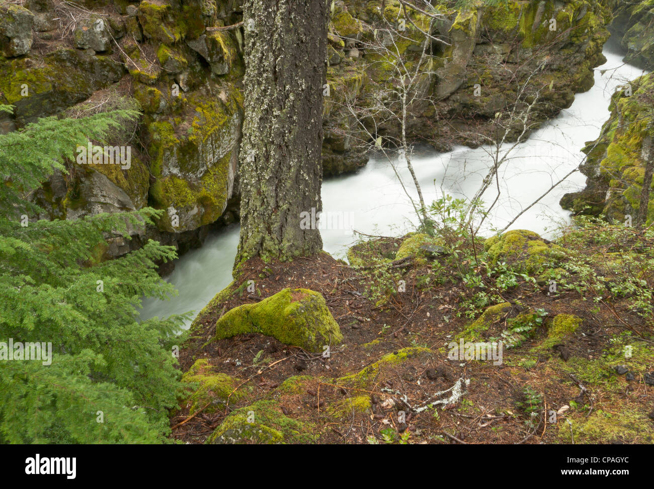 The upper Rogue river flows through a gorge, Oregon Stock Photo - Alamy
